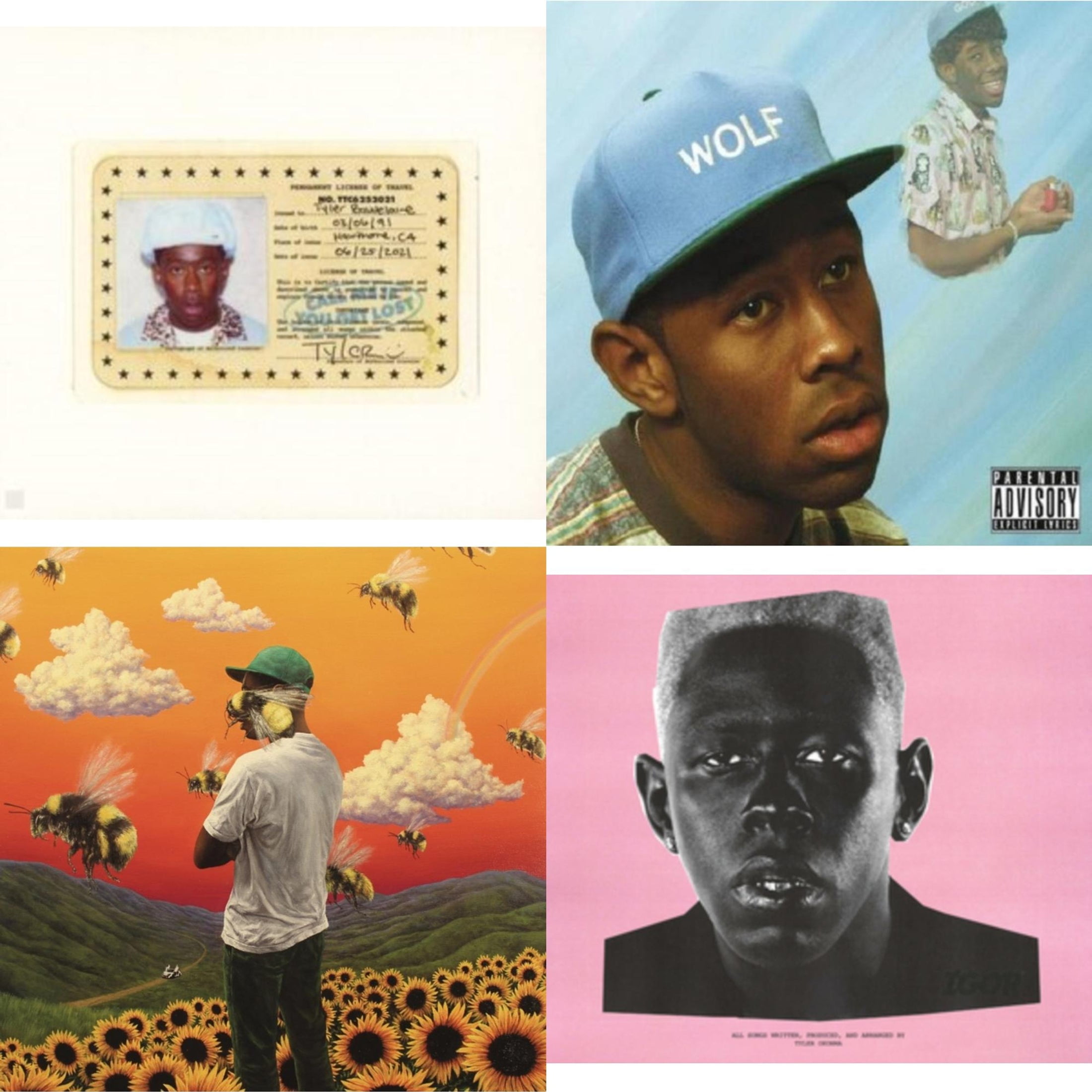 Call Me If You Get Lost & Wolf & Flower Boy & Igor (X) [CD Bundle ...