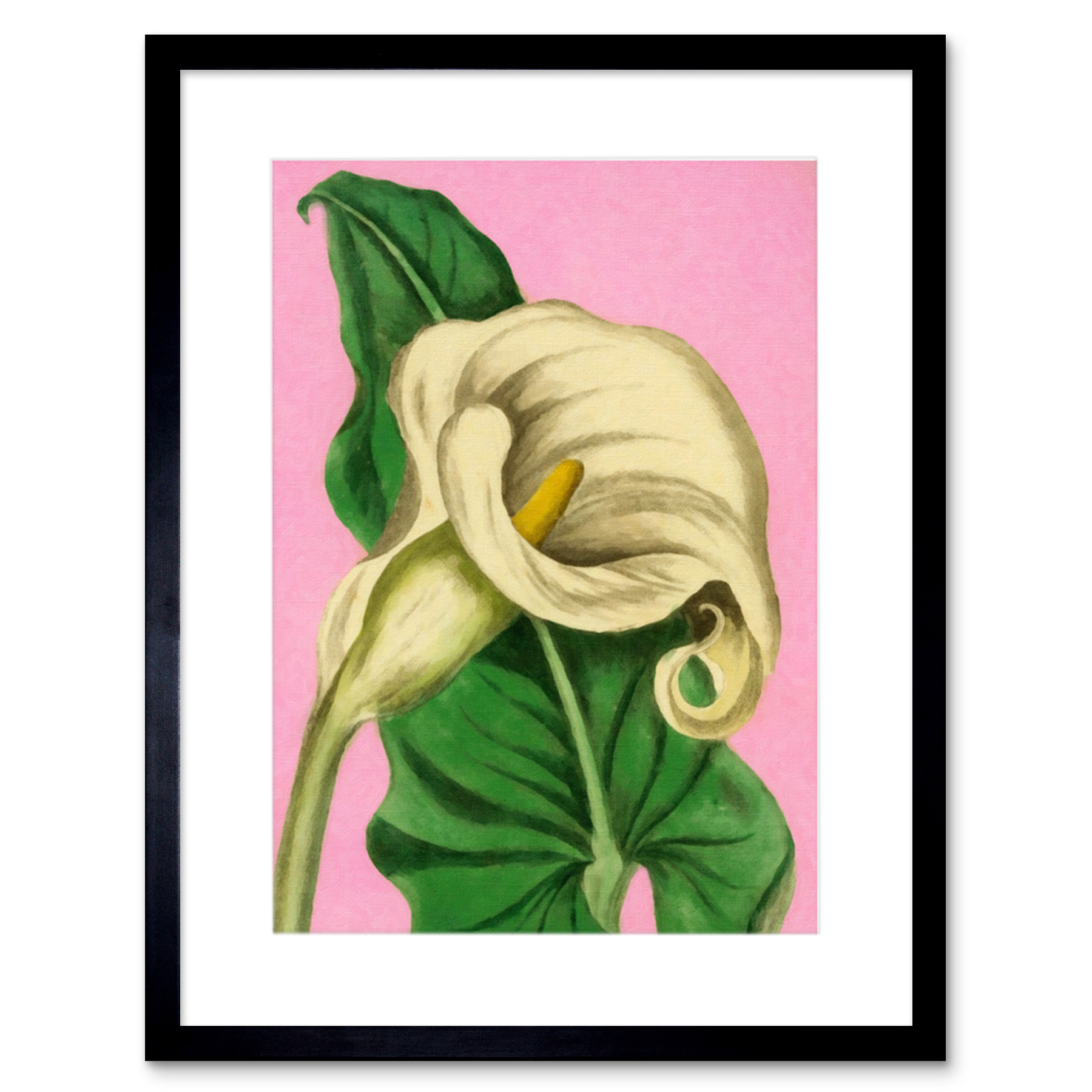 Calla Lily Painting Art Print Framed Poster Wall Decor 9x7 inch ...