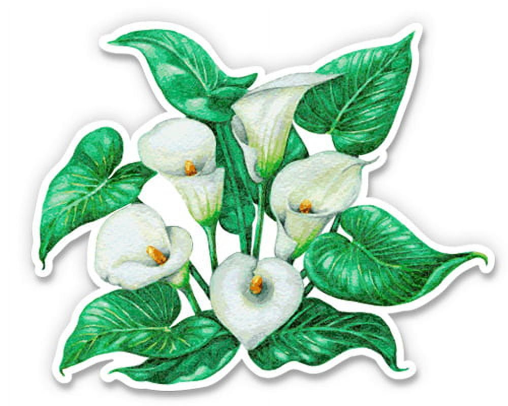 Calla Lily Watercolor - 5" Vinyl Sticker - For Car Laptop I-Pad ...