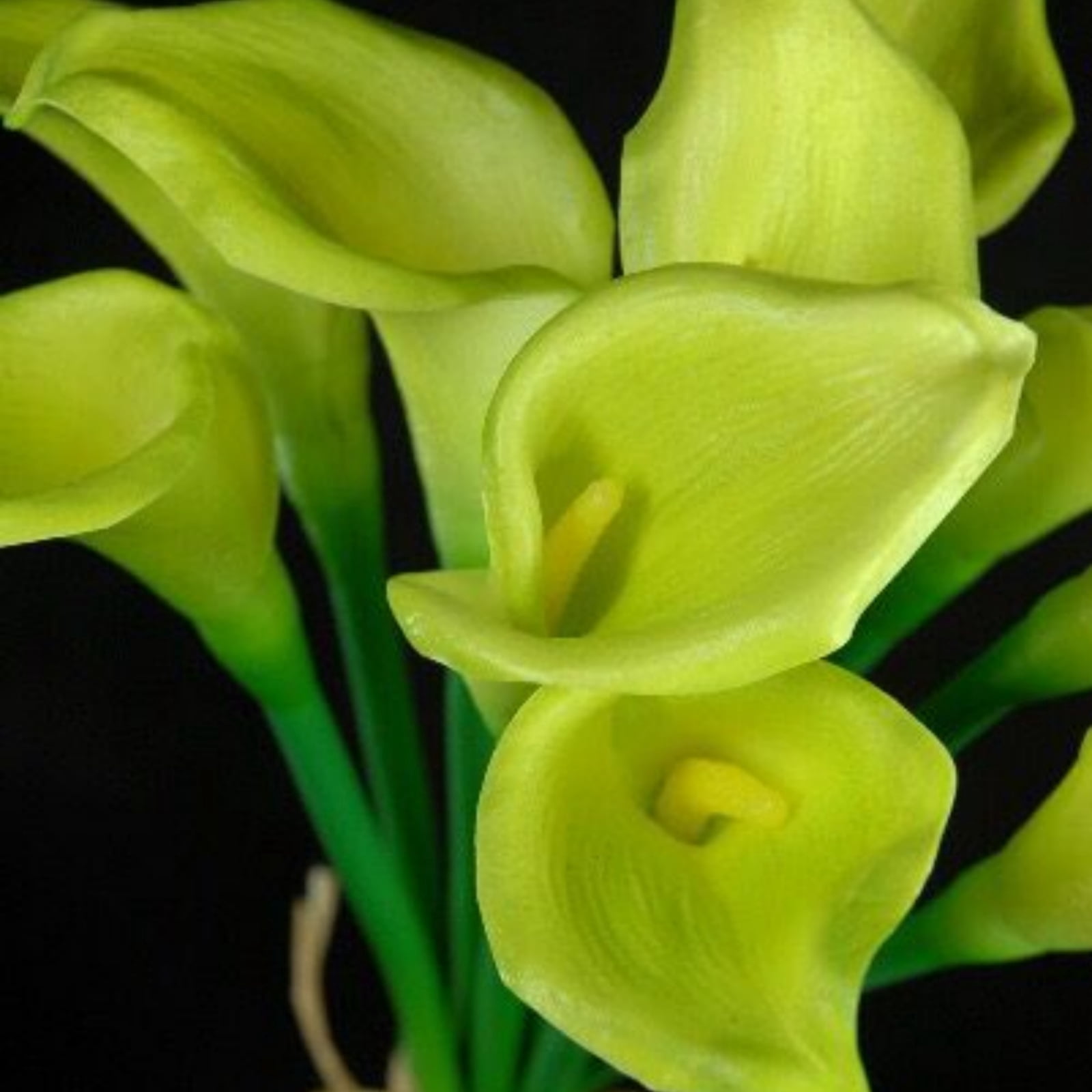 Calla lily-Interior and exterior decoration - Walmart.com