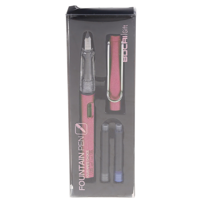 Calligraphy Fountain Pen Kit Gift Writing Pen Piston-Filled 2 Ink Sacs ...