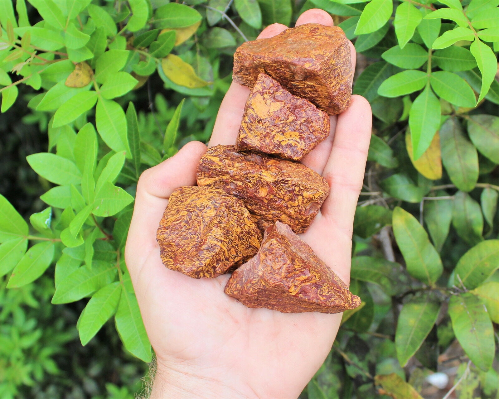 Calligraphy Jasper Rough Natural Stones (Miriam Jasper, Sanskrit Jasper ...