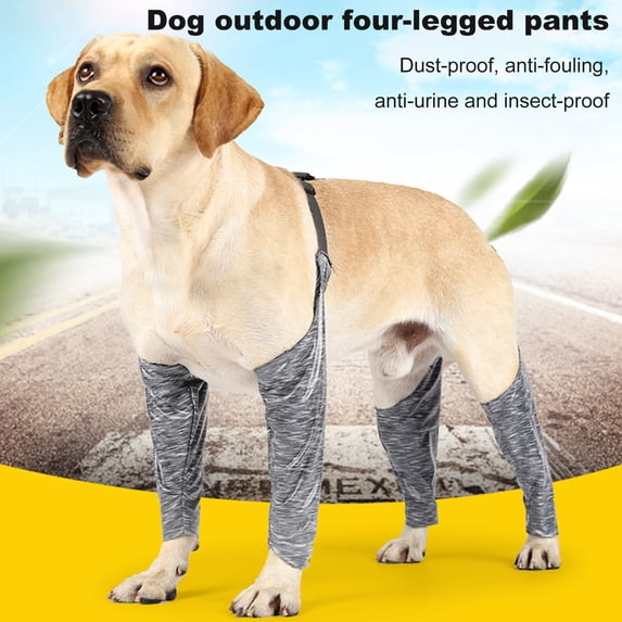 Callipe Dog Leggings Washable Dog Leg Sleeves to Prevent Licking ...