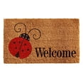 Calloway Mills Ladybug Welcome Coir Doormat 17 x 29 - Walmart.com