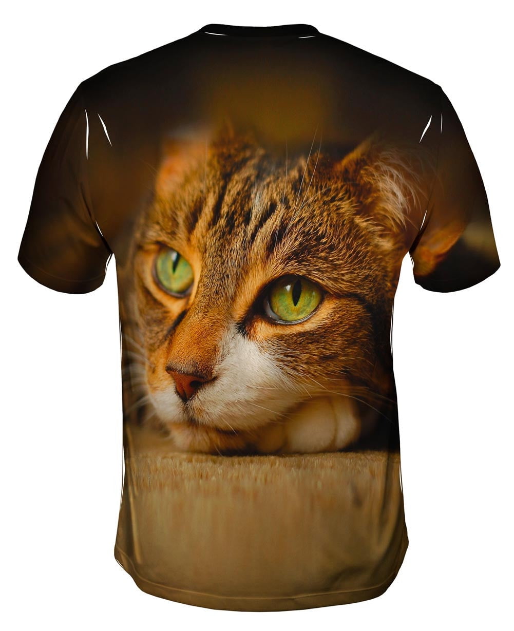 Calm Cute Cat Mens T-Shirt All Over Print - Walmart.com