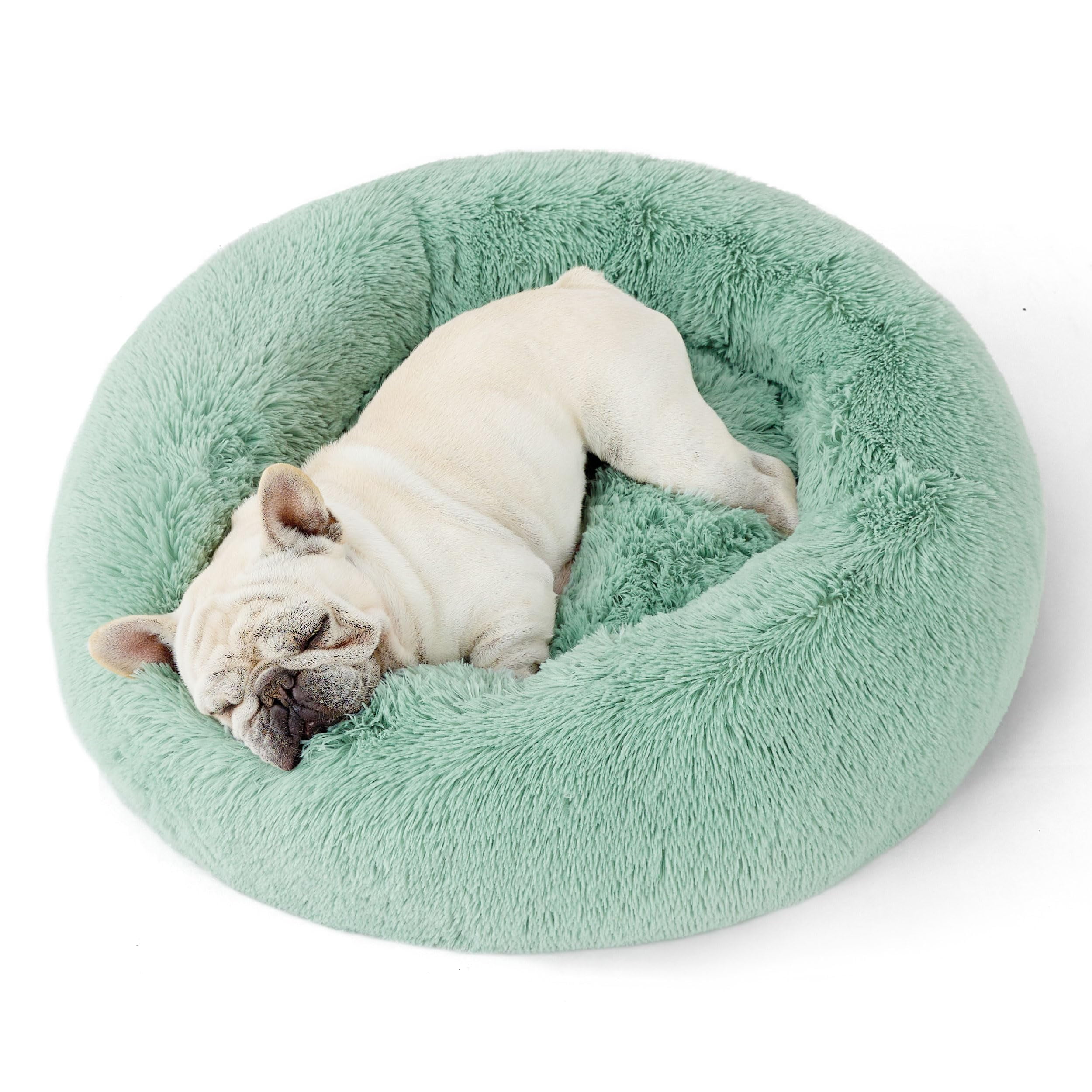 Calming Cat Beds for Indoor Cats - Small Cat Bed Washable 20 TO 30 ...