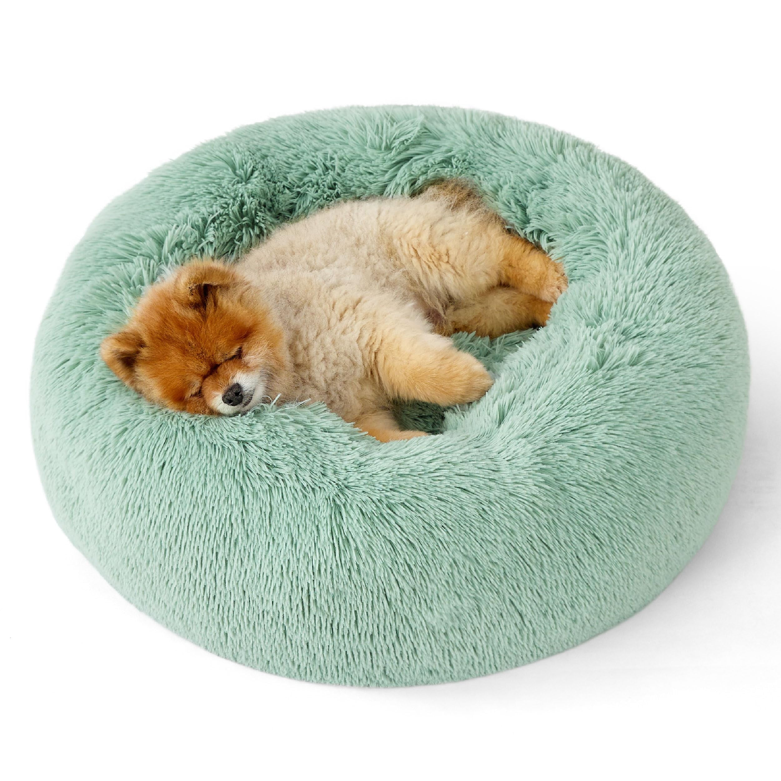 Calming Cat Beds for Indoor Cats - Small Cat Bed Washable 20 TO 30 ...