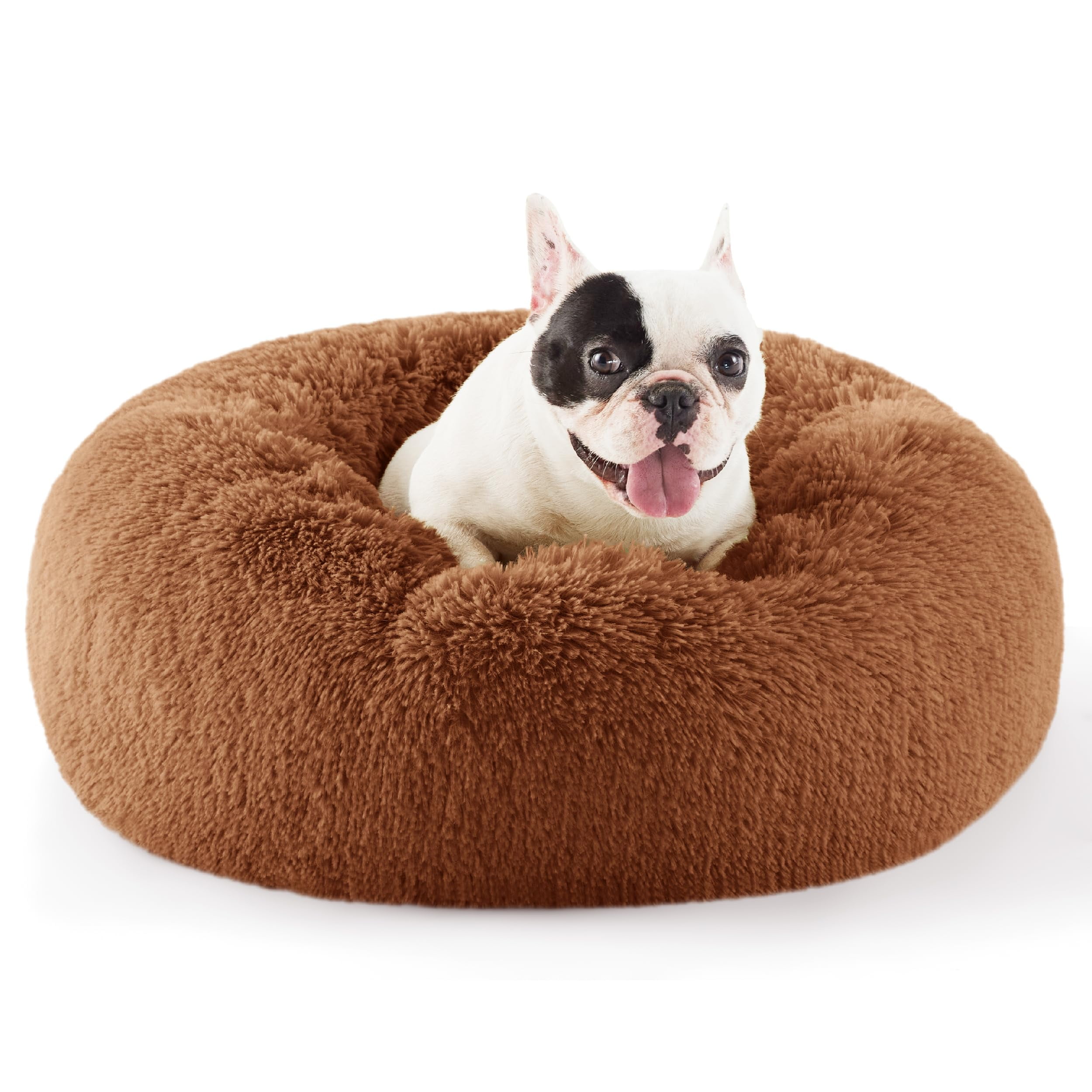 Calming Cat Beds for Indoor Cats - Small Cat Bed Washable 20 TO 30 ...