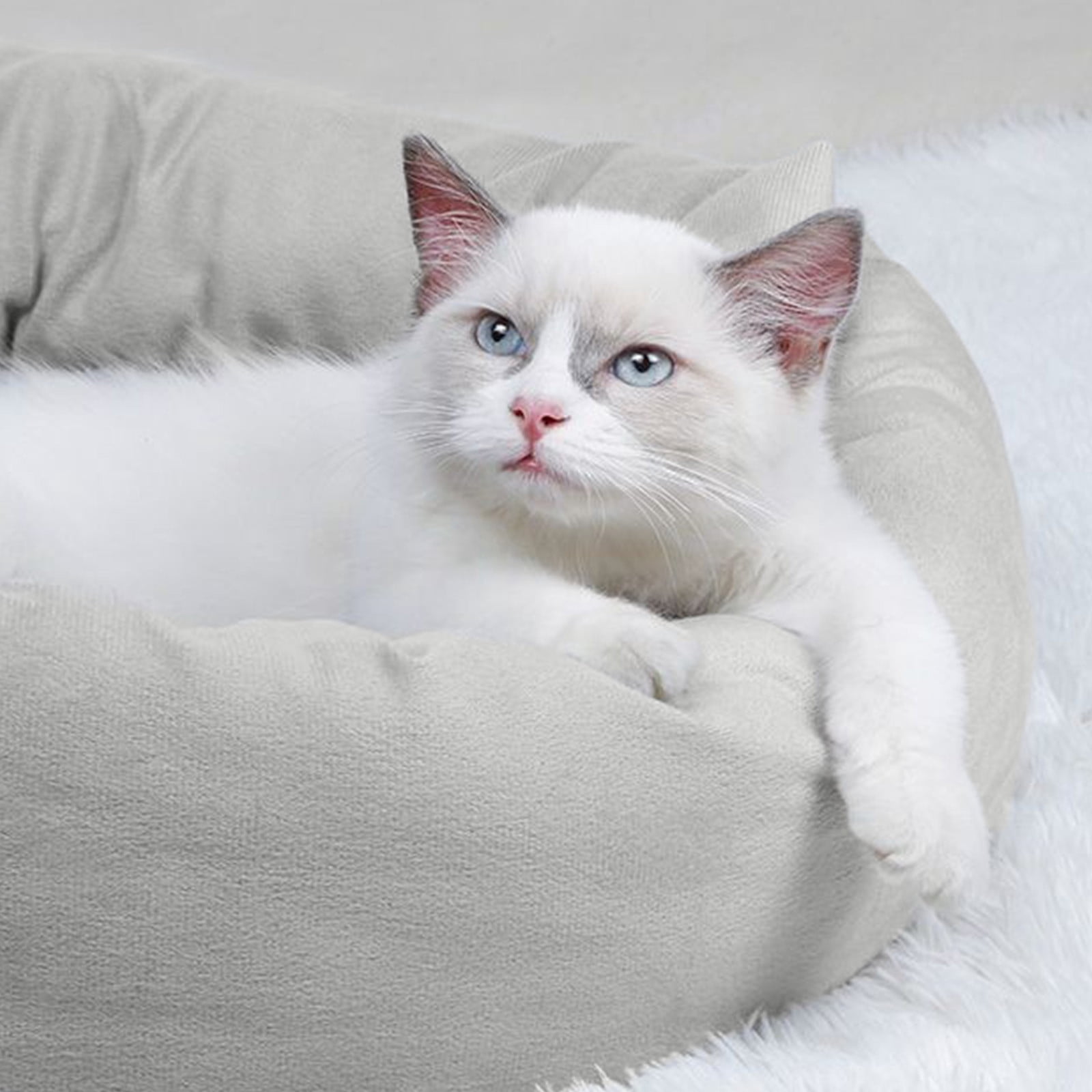 Calming Dog Beds with Pillow for Small Medium Dogs and Cats, Round Dog ...