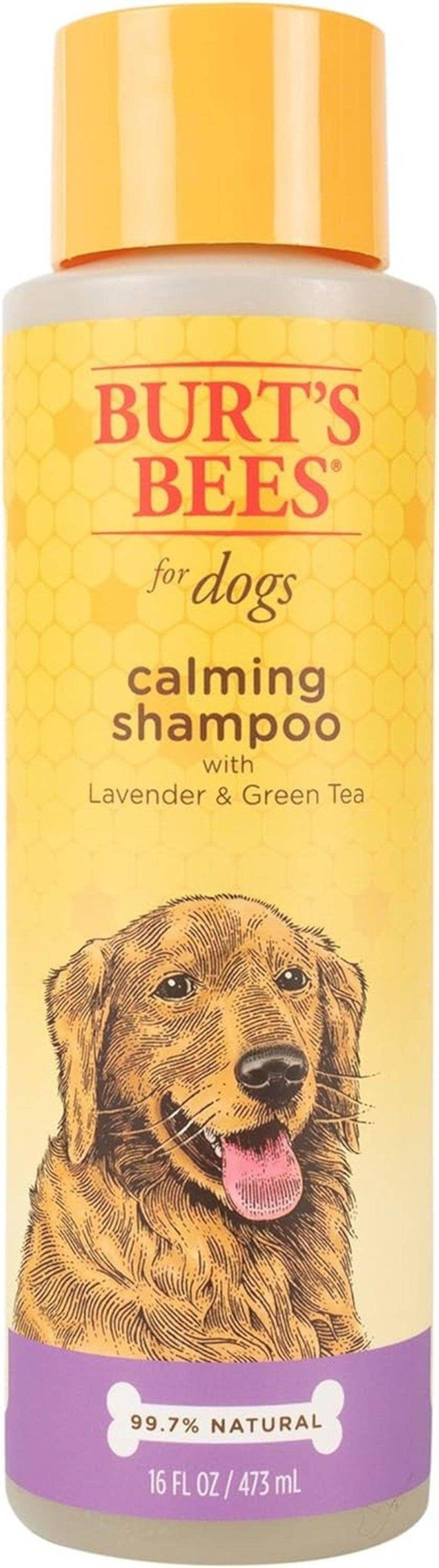 Calming Dog Shampoo with Lavender and Green Tea, 95% Natural Origin ...