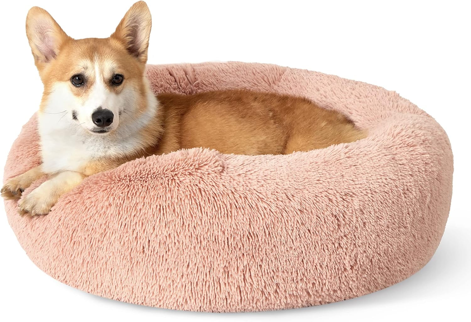 Calming Human Dog Bed 71” x 44” x 12” Giant Human Dog Bed for Adults ...