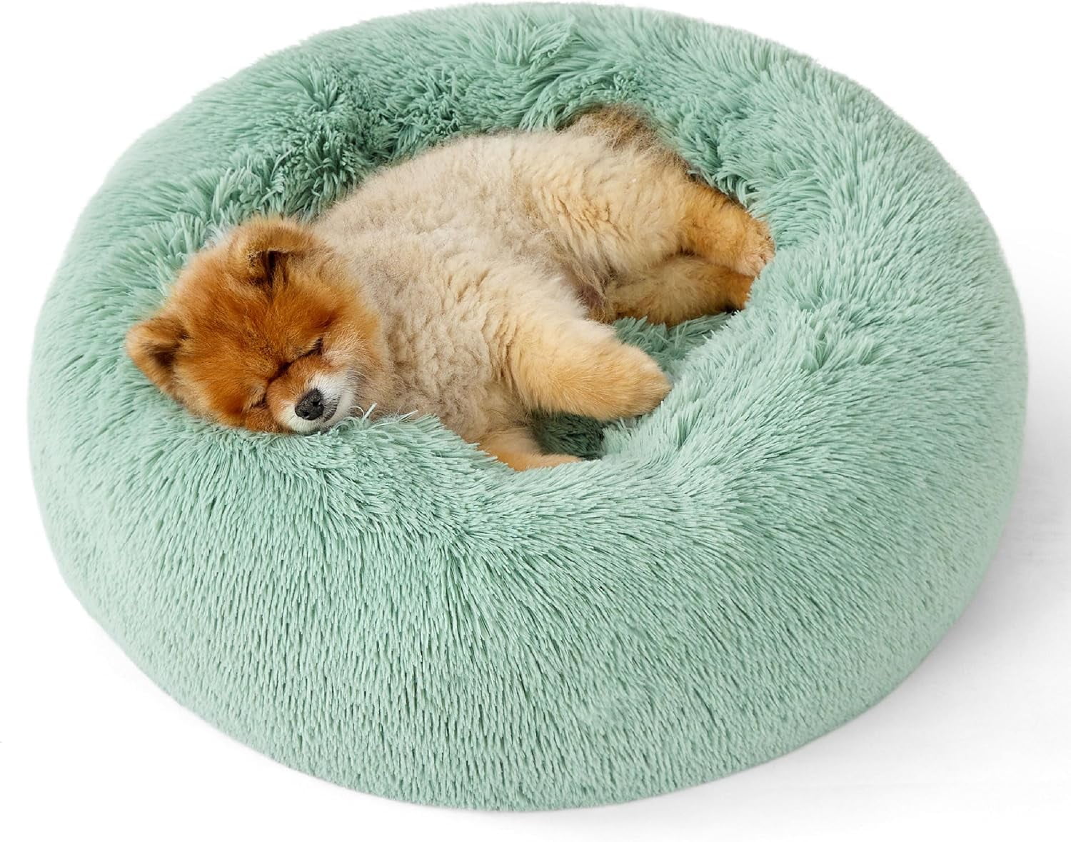 Calming Human Dog Bed 71” x 44” x 12” Giant Human Dog Bed for Adults ...