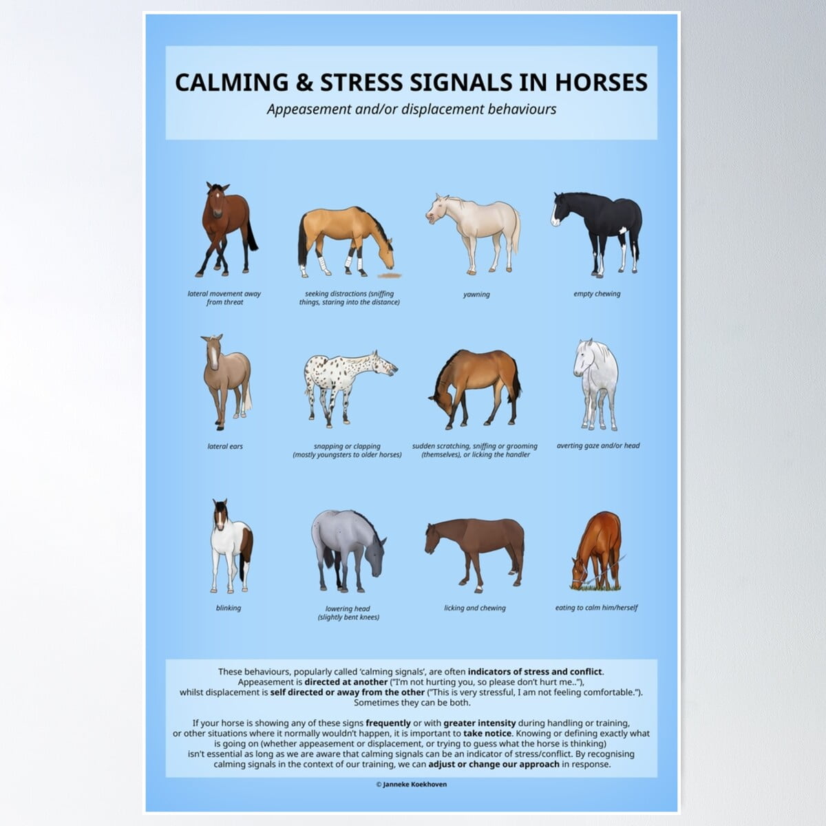 Calming & Stress Signals In Horses Poster Wall Art, Modern Wall Decor ...