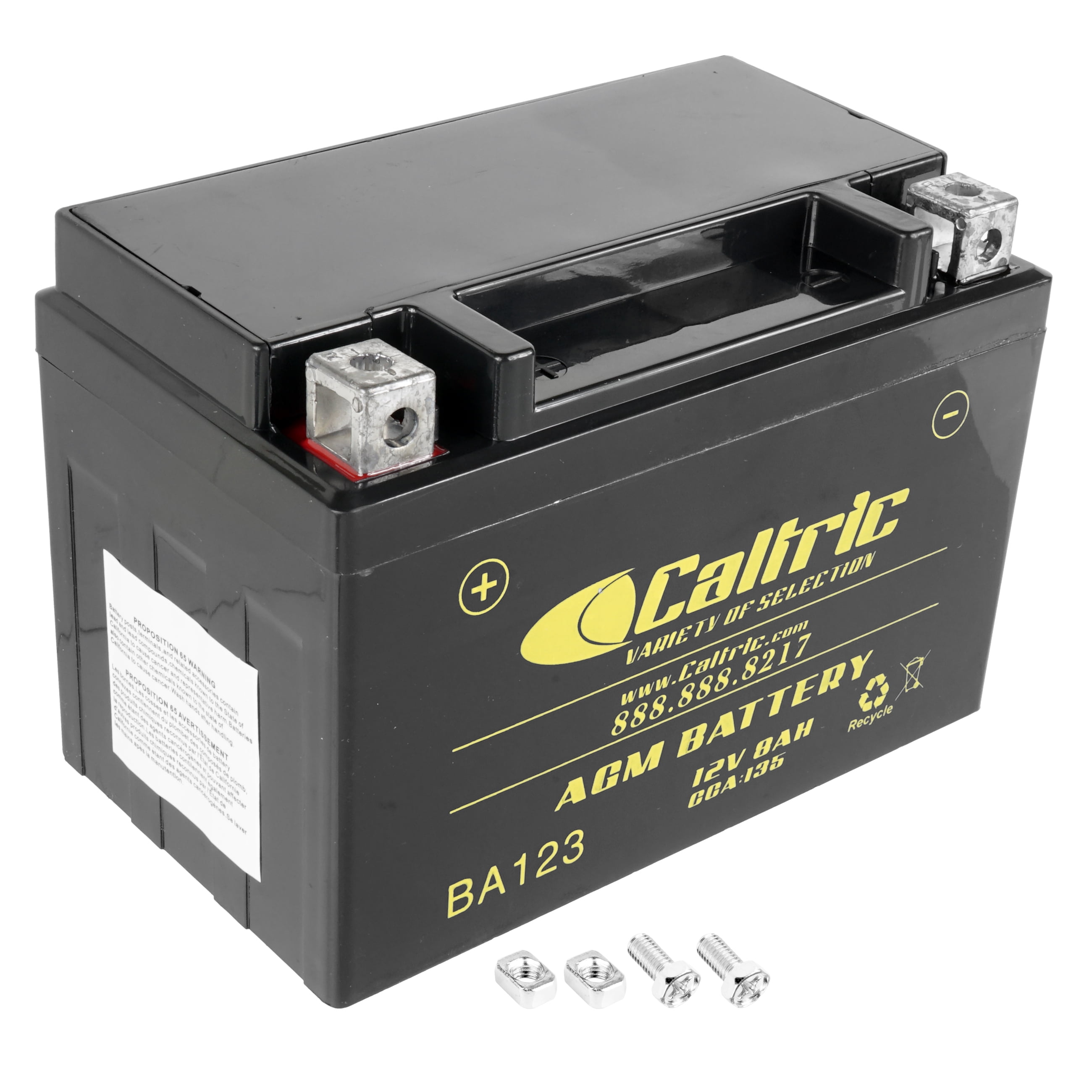 Caltric compatible with YTX9-BS AGM Battery Kawasaki Z900RS Z900RS ABS ...