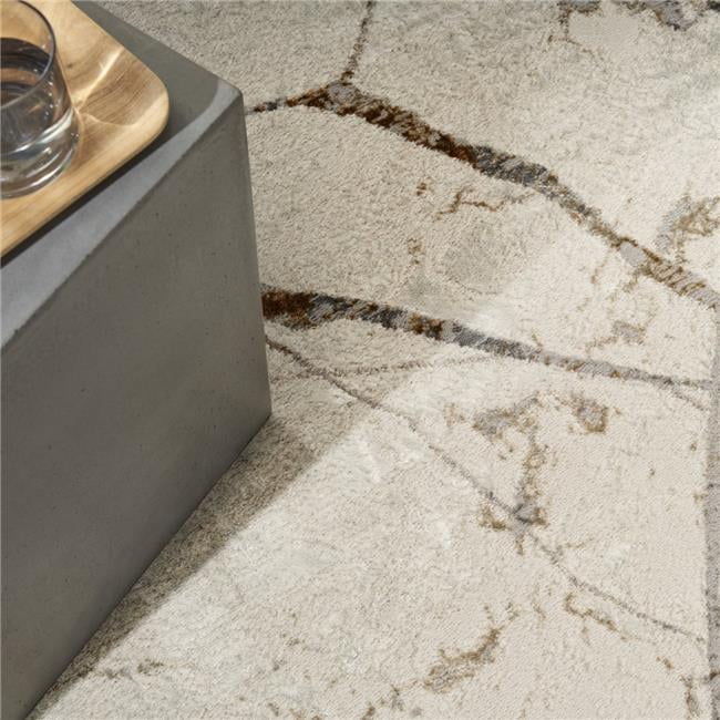 Calvin Klein 841491123034 7 ft. 10 in. x 9 ft. 10 in. CK073 Compass ...