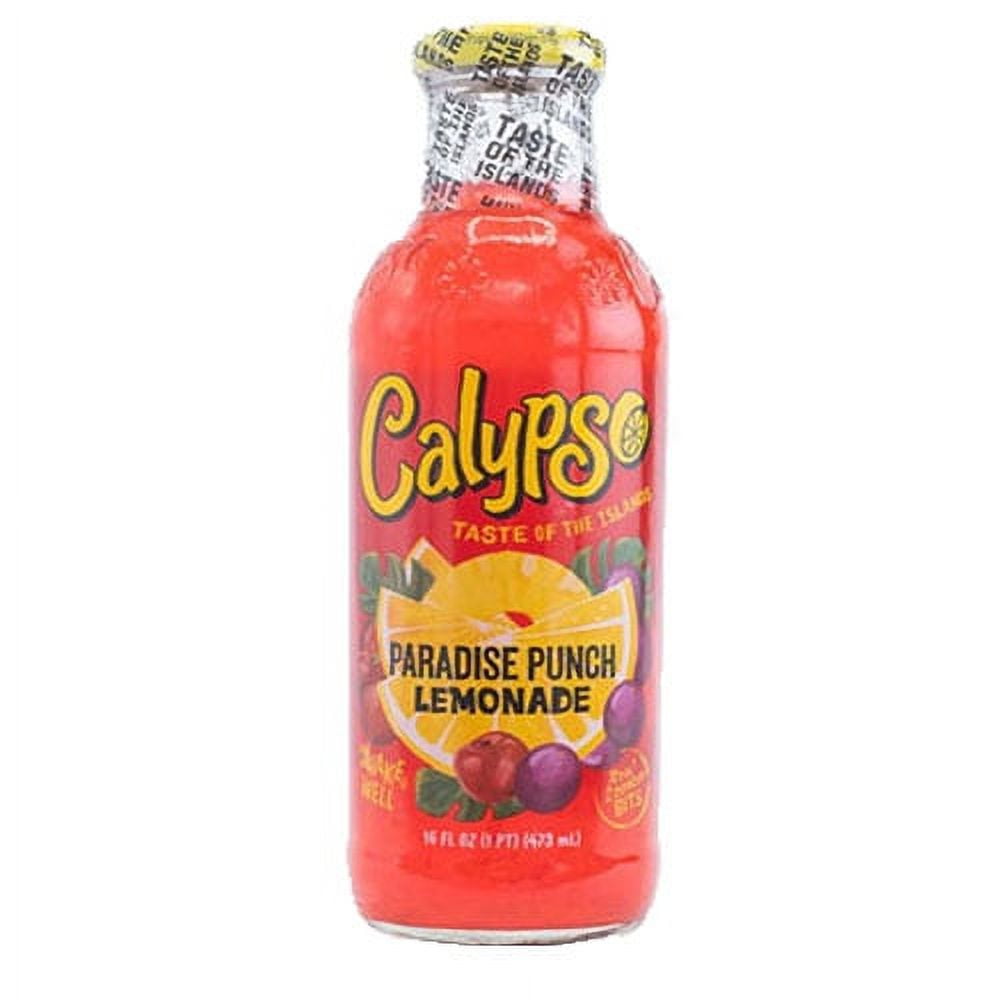 Calypso - Paradise Punch - 12x 473ml - Walmart.com
