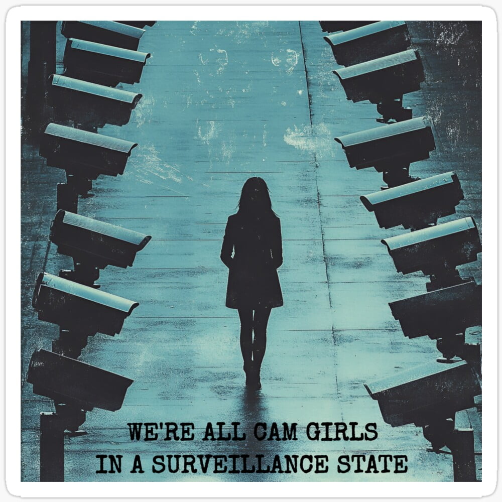 We'Re All Cam Girls In The Surveillance State Stickerphone Decal Water ...