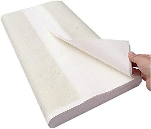 CamDesign 100 Pieces Sheng Xuan Rice Paper Japanese Calligraphy Paper ...