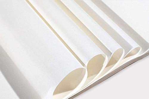 CamDesign 100 Pieces Sheng Xuan Rice Paper Japanese Calligraphy Paper ...