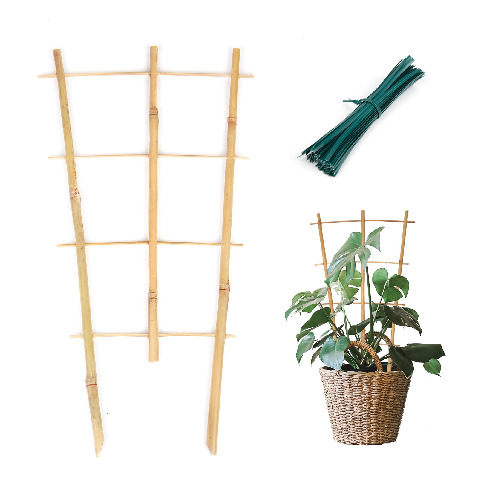 Cambaverd 3 Pack Bamboo Trellis, 16 inch Plant Trellis Indoor, Garden ...