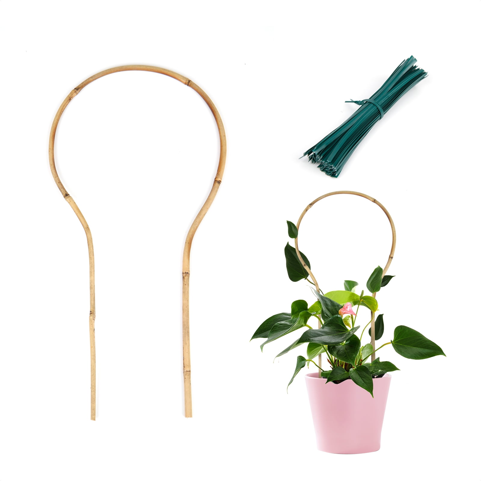 Cambaverd 3 Pack Plant Trellis for Pots, 16 inch Bamboo Trellis for ...