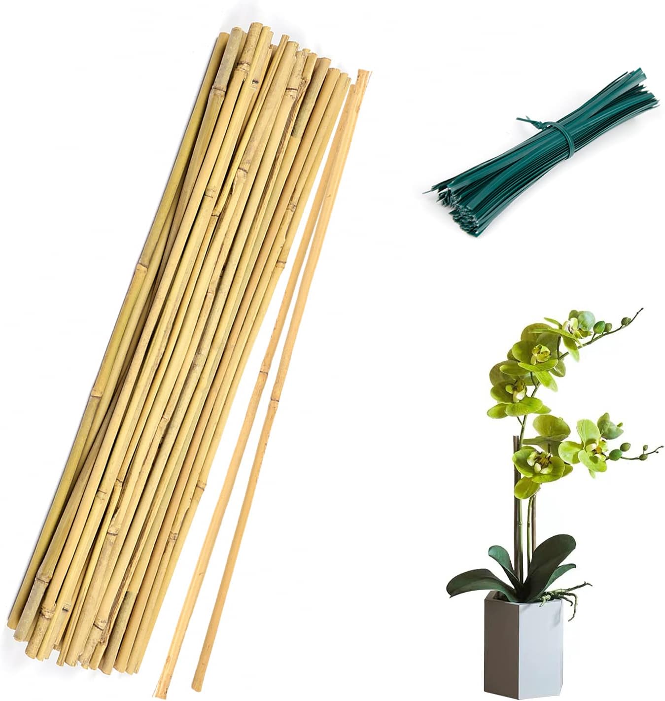 Natural Thin Bamboo Stakes About 6 Feet Tall - Pack of 20 (Natural ...
