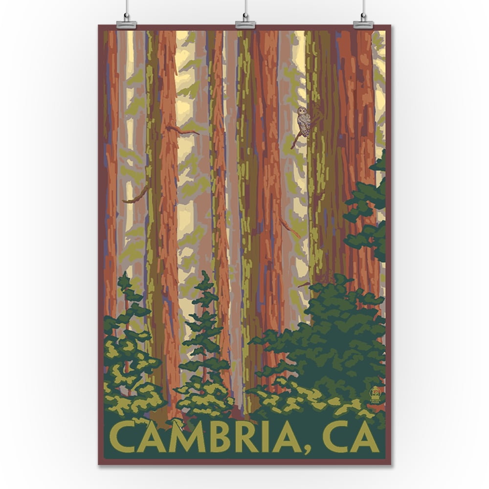 Cambria, California - Redwoods - Lantern Press Poster (24x36 Giclee ...