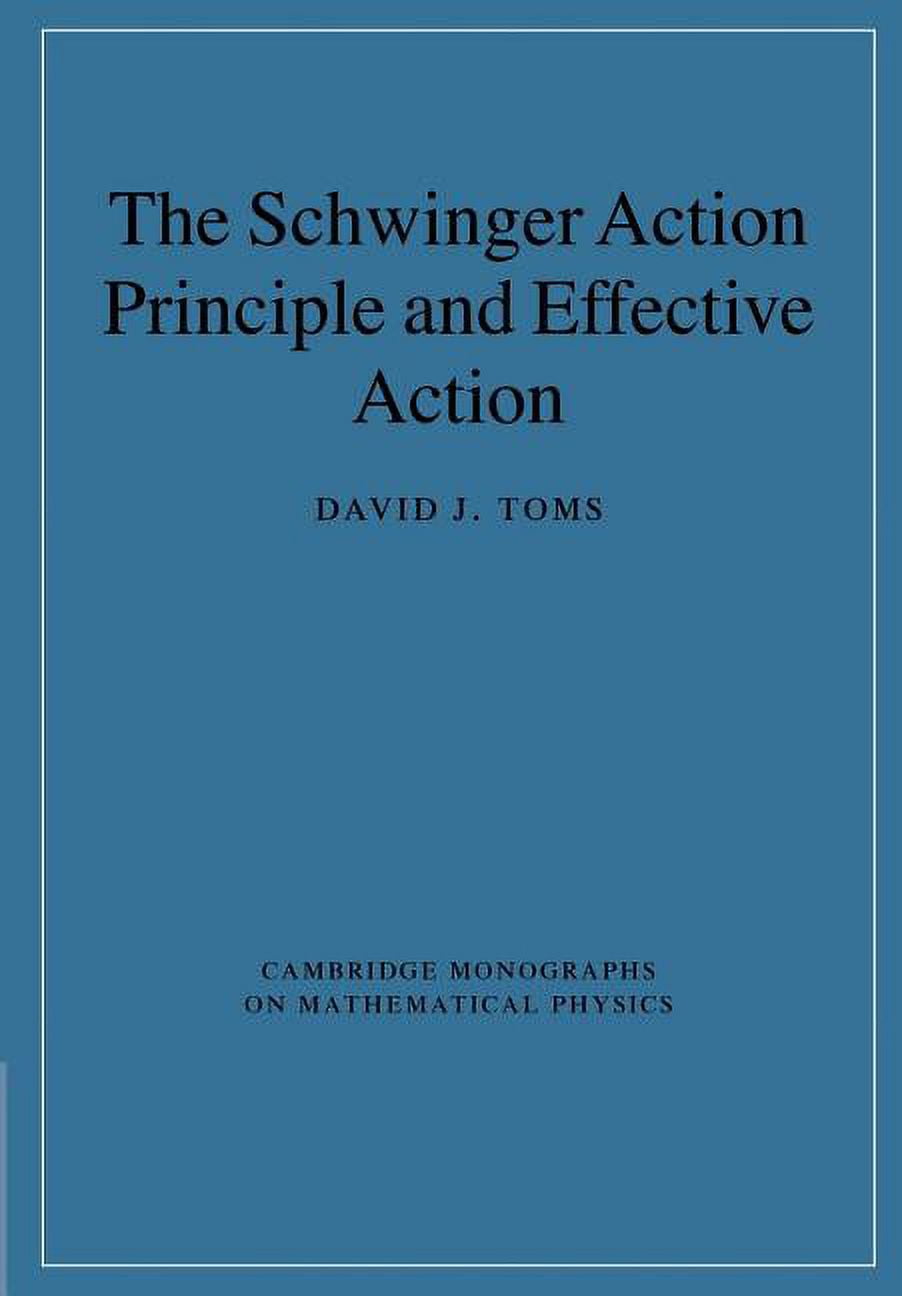 Cambridge Monographs on Mathematical Physics: The Schwinger Action ...