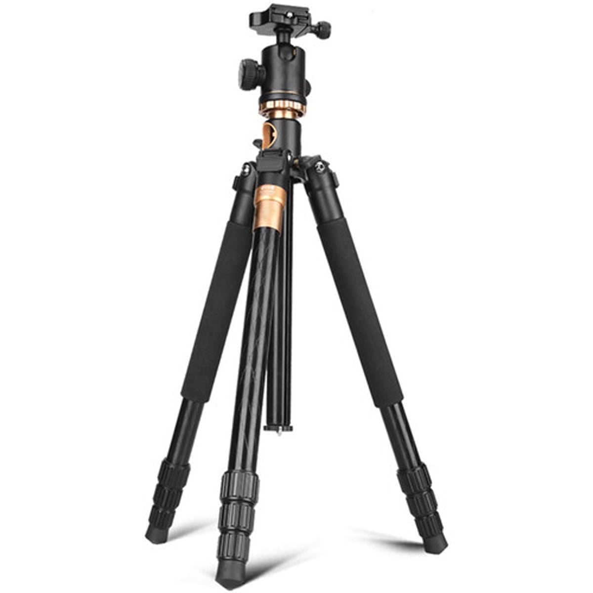 Came-TV CTV-999H 4-Section Aluminum Tripod with Arca-Type Ball Head and ...
