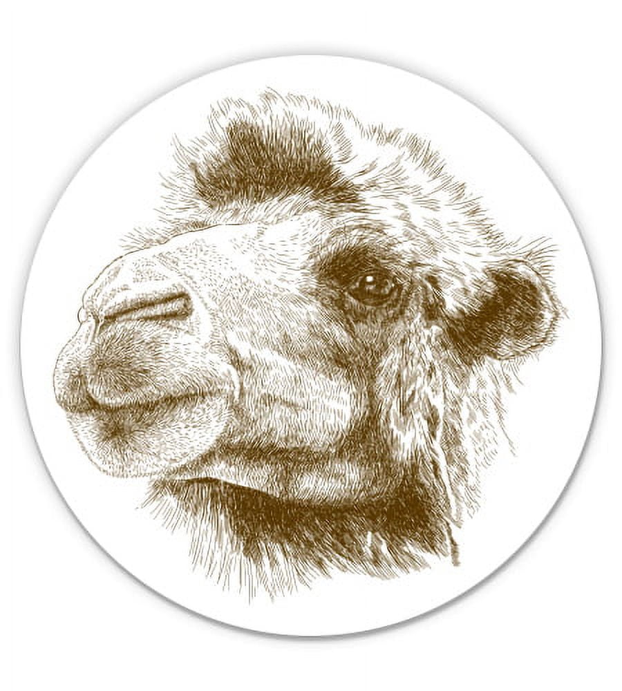 Camel - 12" Vinyl Sticker Waterproof Decal - Walmart.com