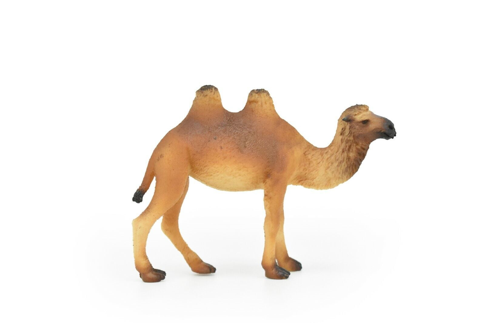 Camel, Bactrian, Museum Quality, Realistic Plastic Animal Design ...