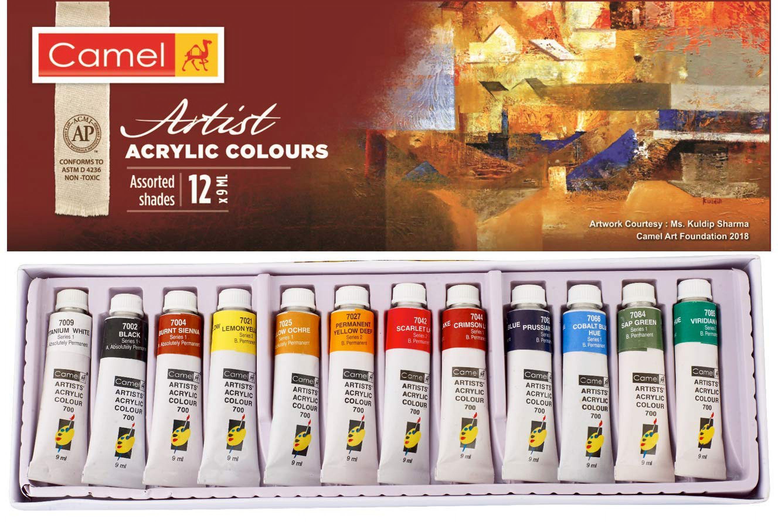Camel Camlin Kokuyo Acrylic Color Box - 9ml Tubes, 12 Shades - Walmart.com