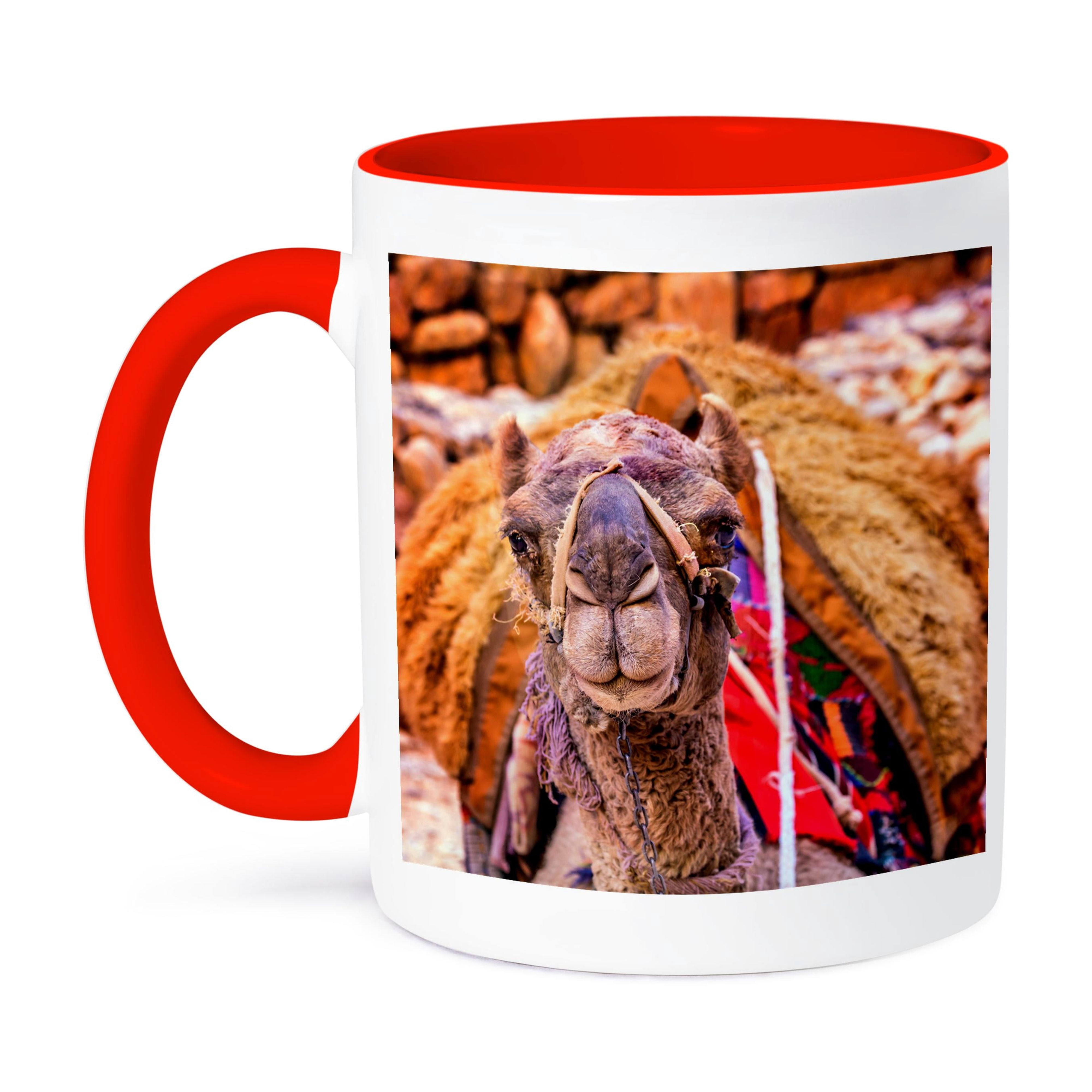 Camel Resting At Petra After Giving Rides To Tourists, Jordan., 11oz ...