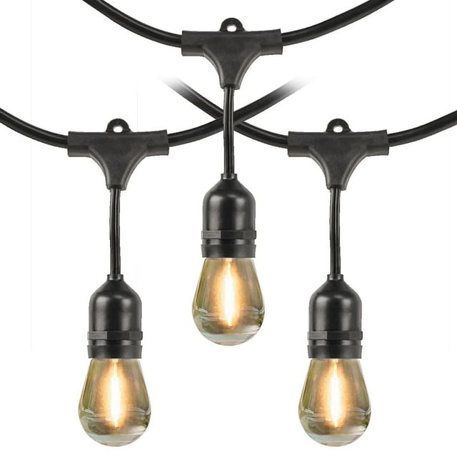 Camelion LED 48FT Outdoor Decorative String Lights 24 Bulb 4 Season ...