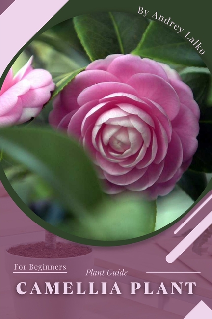 Camellia Plant: Prodigy Petal, Plant Guide - Walmart.com