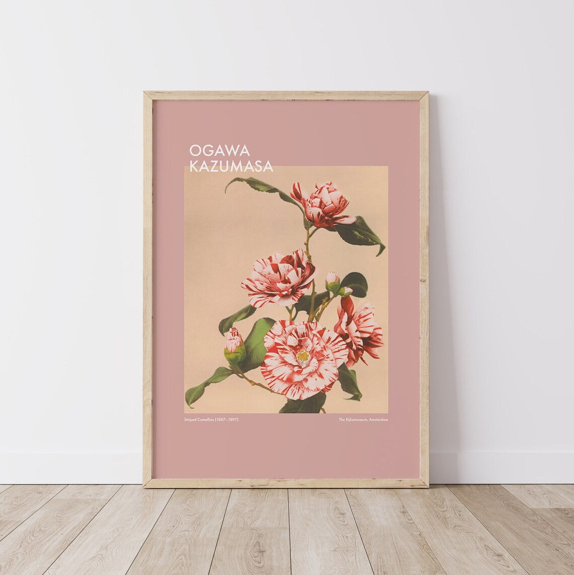 Camellias Ogawa Kazumasa Print Art Pink Japanese Photography Art Poster ...