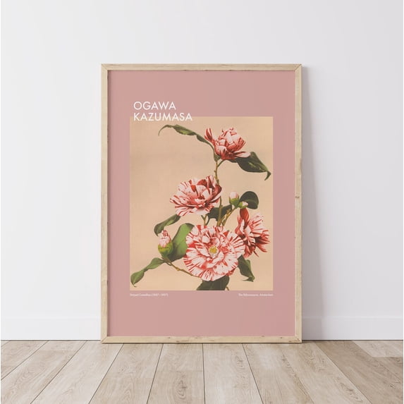 Camellias Ogawa Kazumasa Print Art Pink Japanese Photography Art Poster ...
