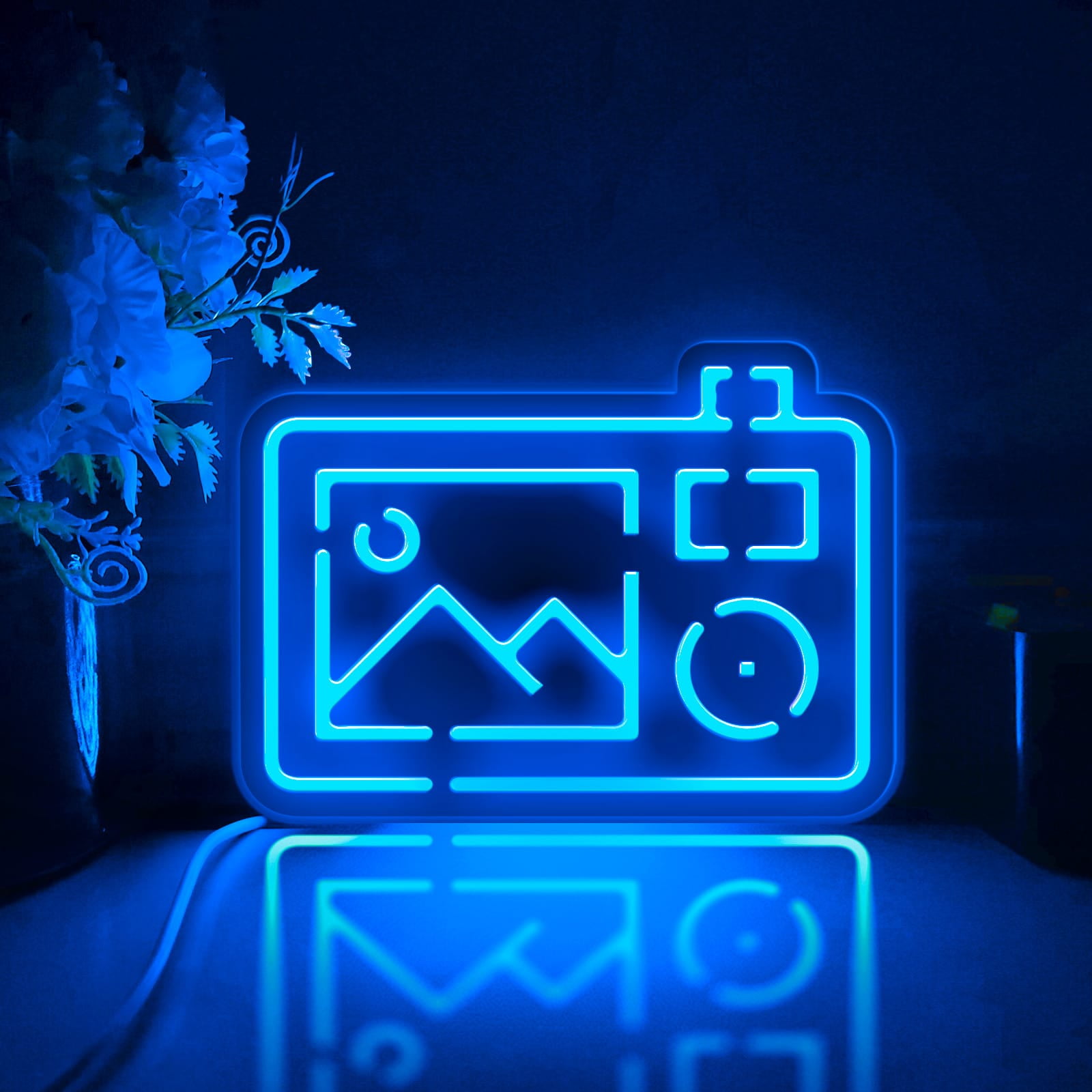 Camera Led Light Box, Dimmable Neon-Like Light Signs USB Power for Wall ...