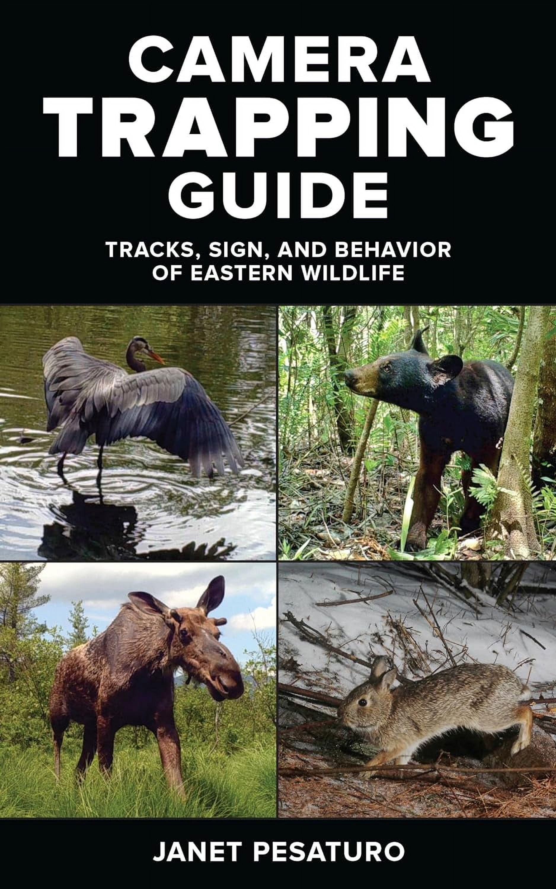 Camera Trapping Guide Tracks, Sign, And Behavior of Eastern Animals by ...