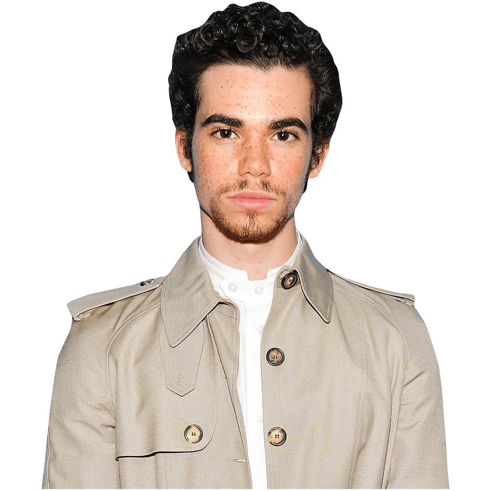 Cameron Boyce (Jacket) Half Body Buddy Cutout - Walmart.com