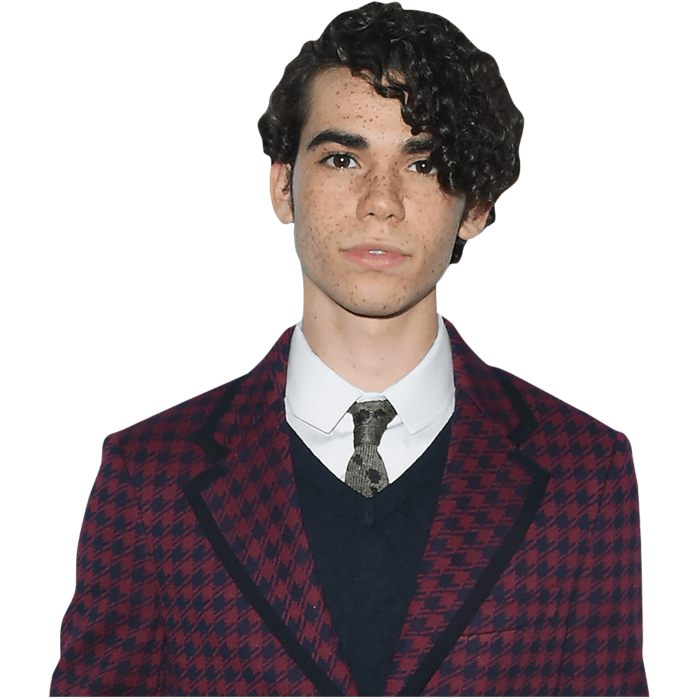 Cameron Boyce (Suit) Half Body Buddy Cutout - Walmart.com