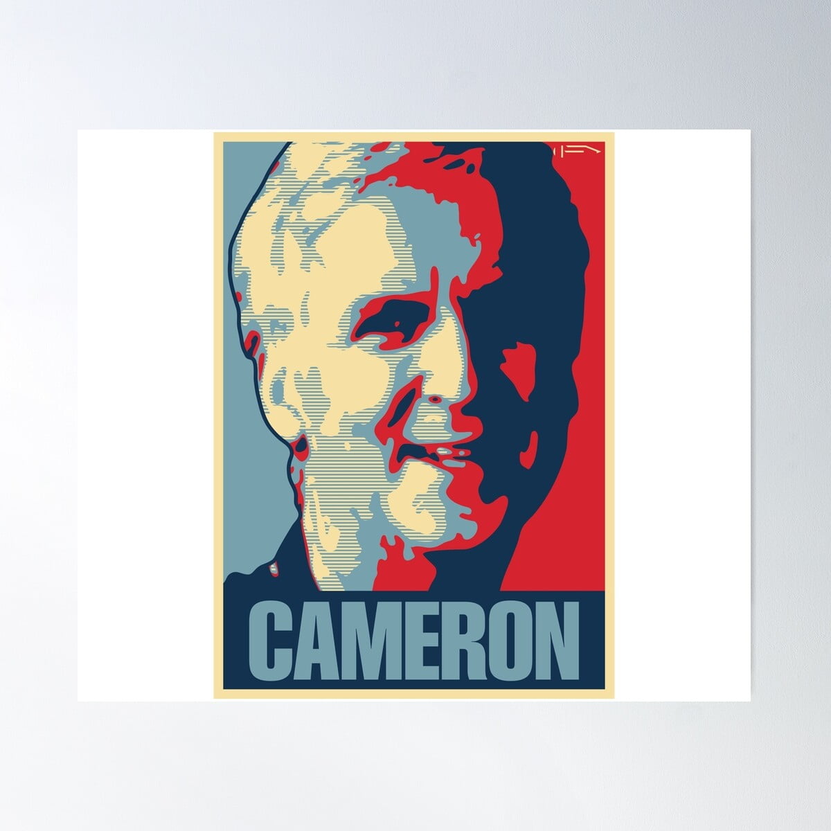 Cameron Poster Wall Art, Modern Wall Decor For Living Room Bedroom ...