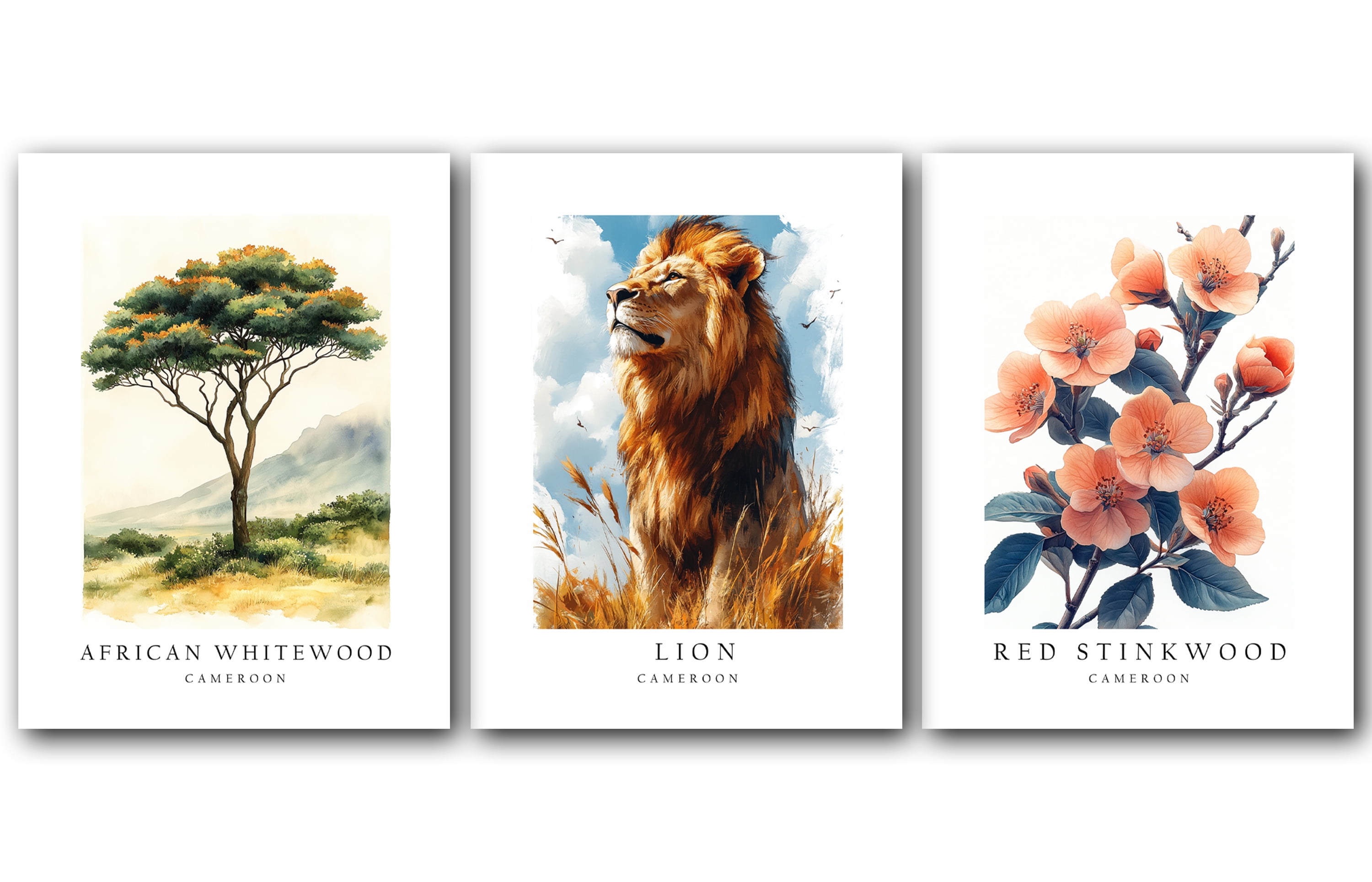 Cameroon National Symbols, The Lion, Red Stinkwood Flower, African ...