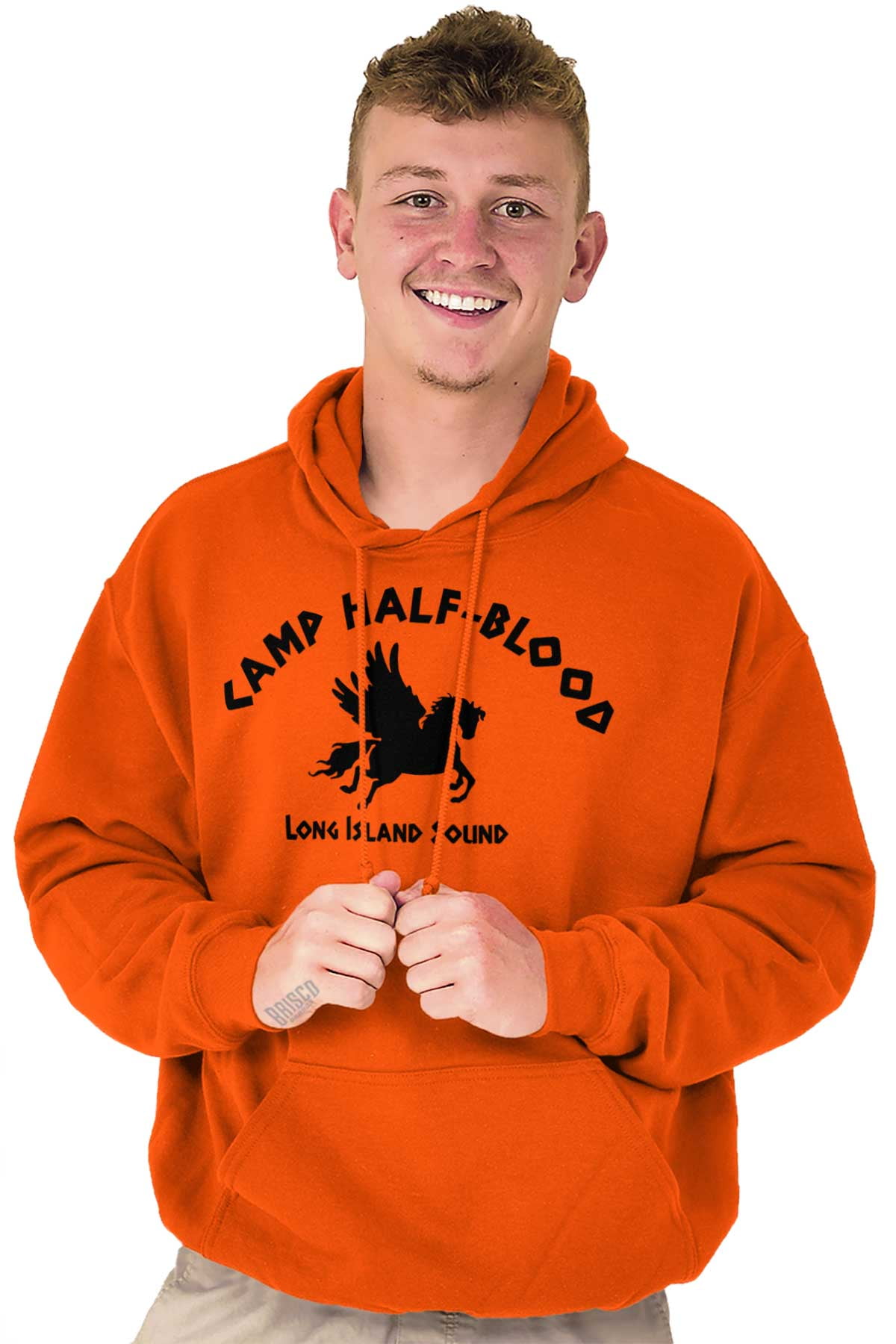 Camp Half Blood Greek Mythology Unisex Plus Size Hoodie Brisco Brands ...