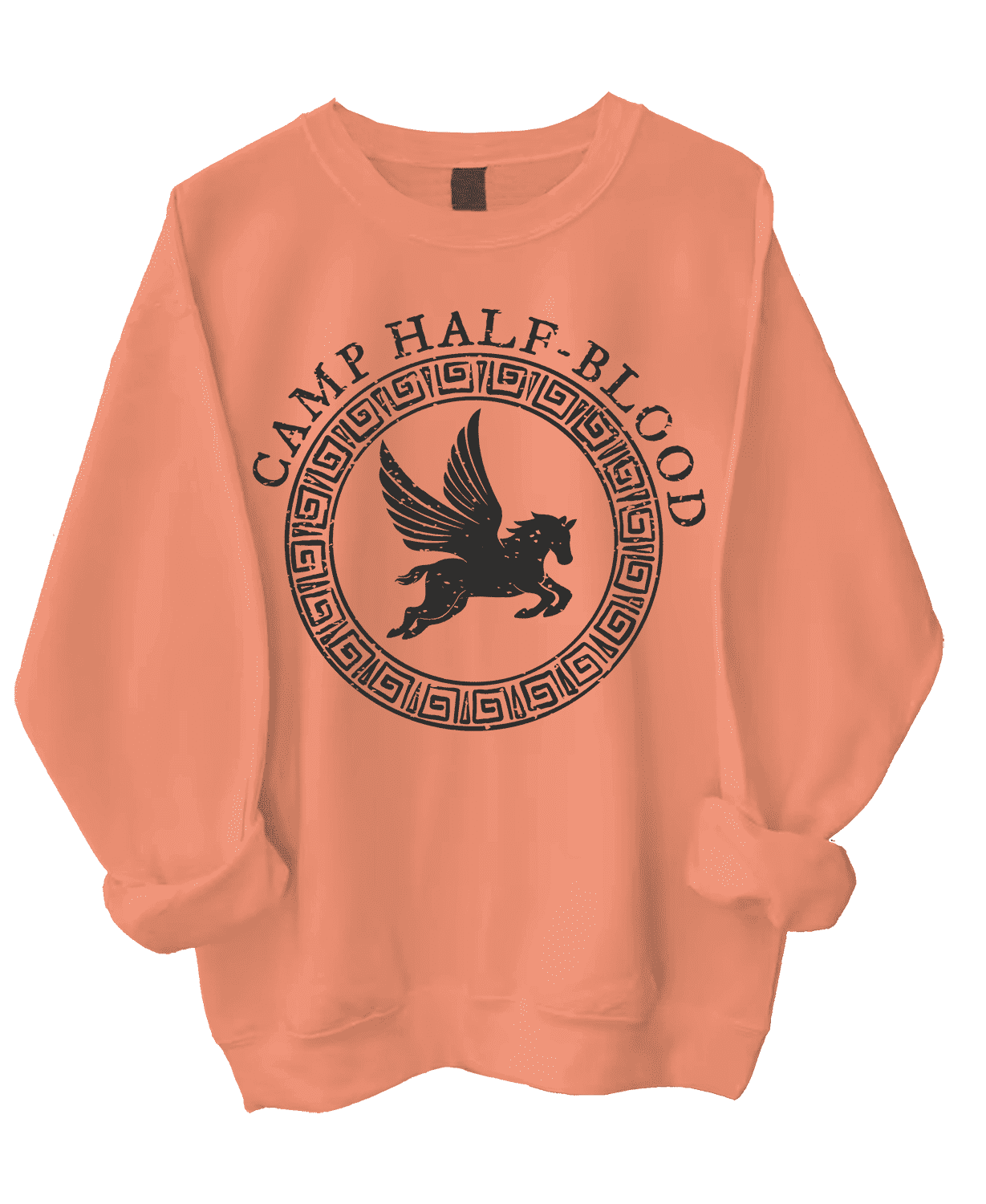 Camp Half Blood Sweatshirt Camp Half Blood Shirt Percy Jackson Merch ...