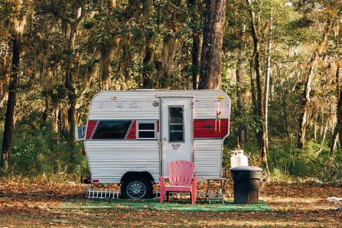 Camp Party Camping Photography Backdrop Sunny Forest Camper Trailer ...
