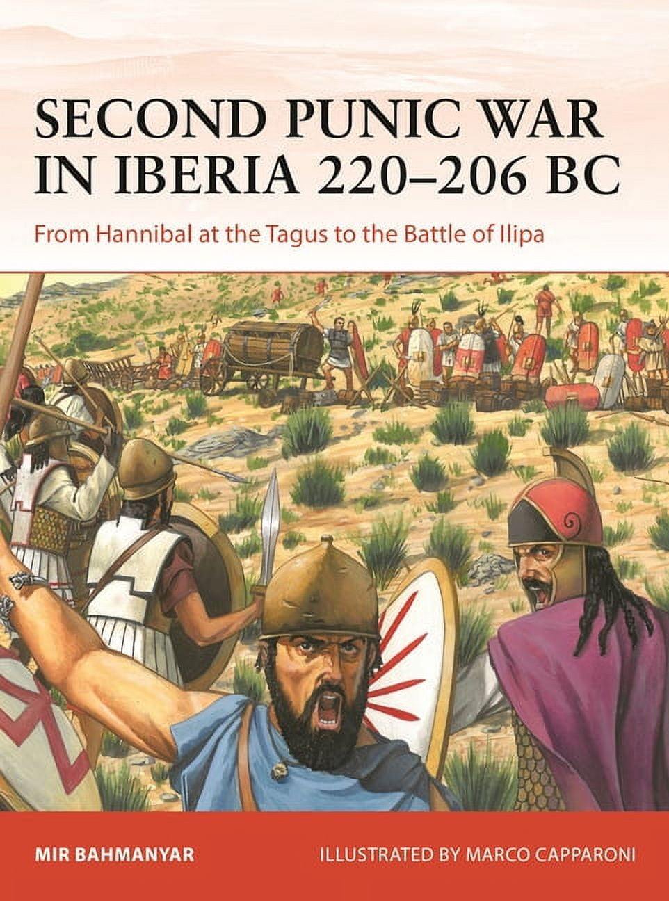 Campaign Second Punic War in Iberia 220-206 BC: From Hannibal at the ...