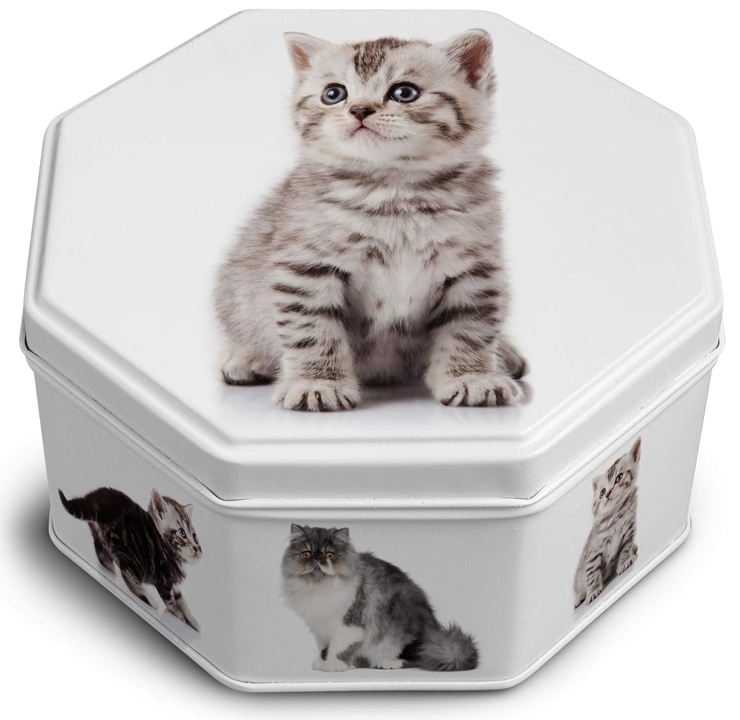 Campbells Shortbread Scottish Pure DPF11 Butter Cookies | Petticoat Tails Shaped | British ...