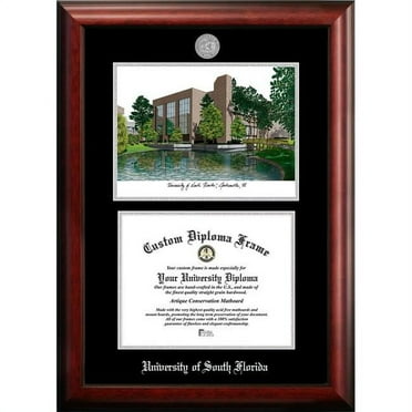 Florida State University 11" x 14" Spirit Graduate Diploma Frame ...