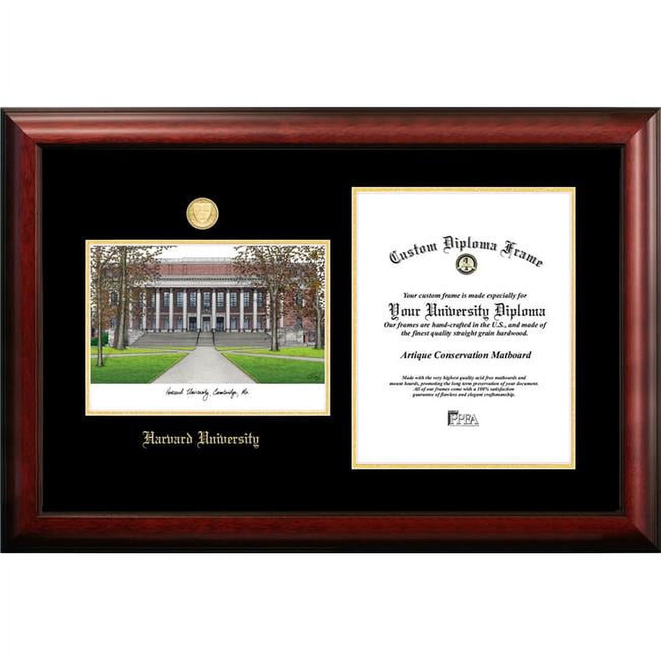 Campus Images 14 x 11 in. Harvard University Gold Embossed Diploma ...
